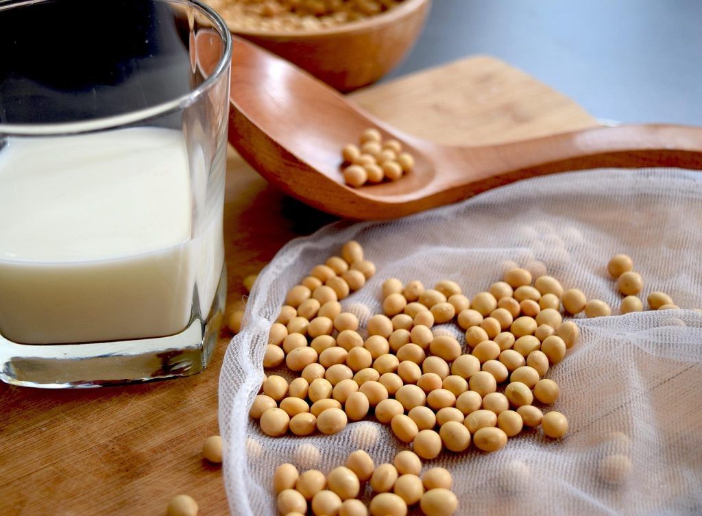 Lait végétal : guide complet pour bien choisir